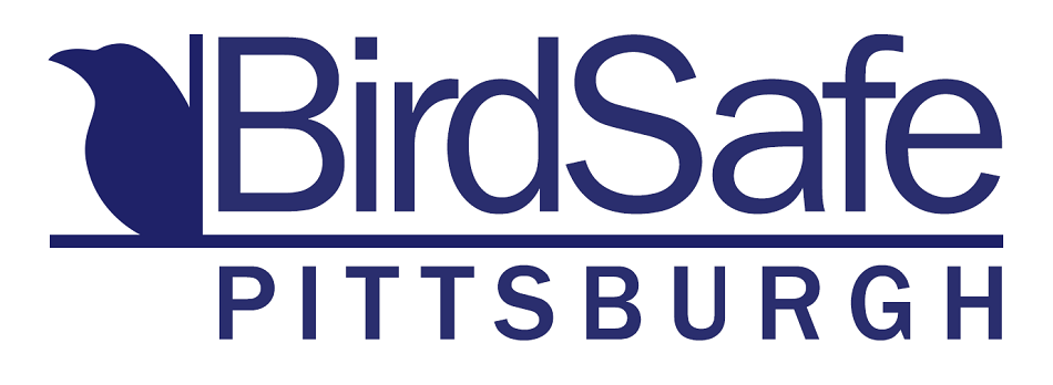 BirdSafe is for the Birds| Finding ways to protect migrating birds