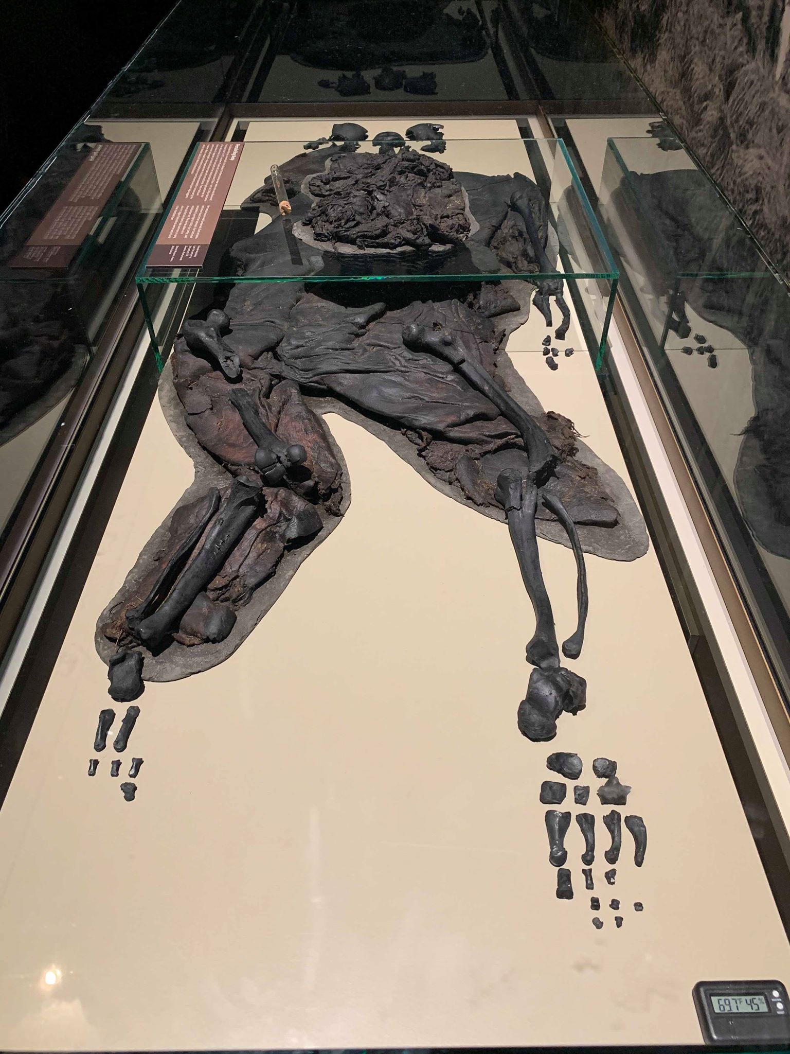 Explore the Mummies of the World - Positively Pittsburgh